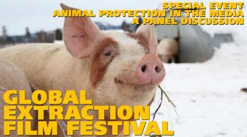 GEFF2022: Animal Protection in the Media Caribbean Creativity