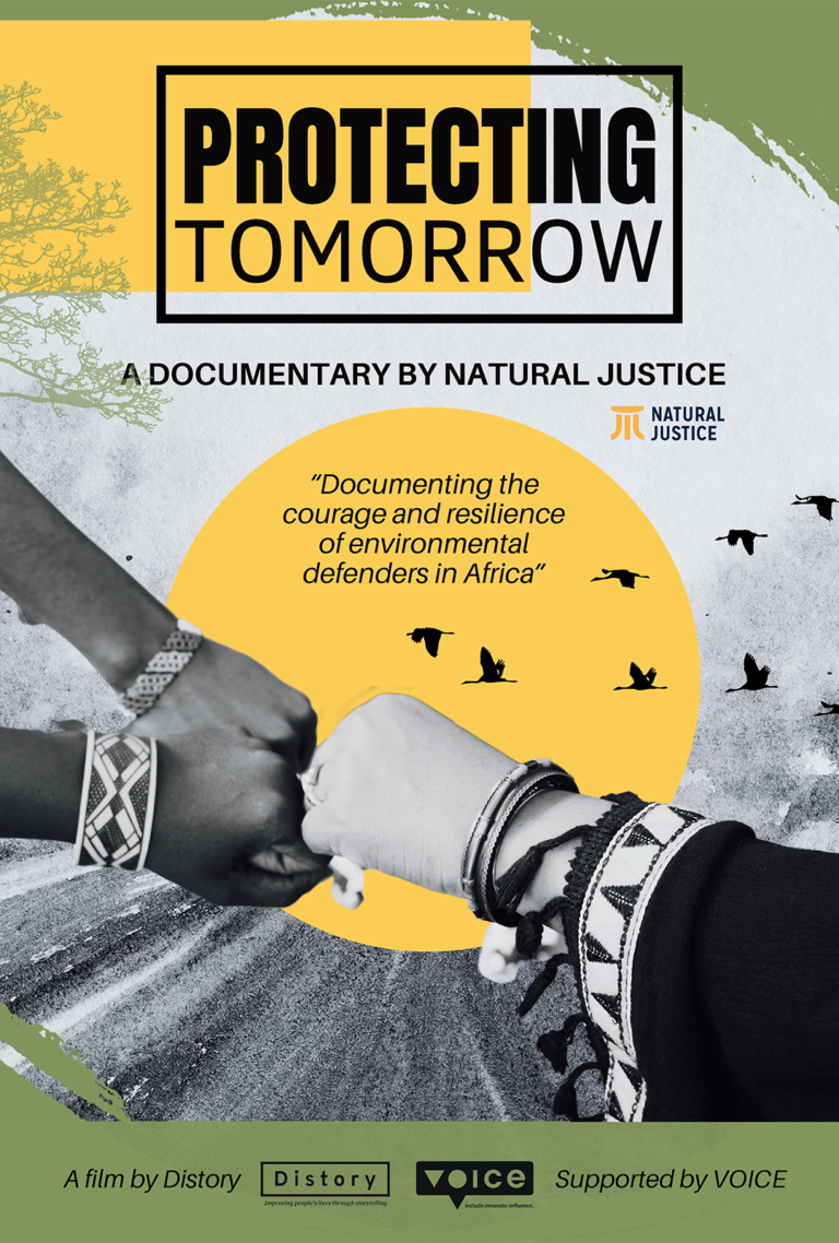 Protecting Tomorrow Caribbean Creativity